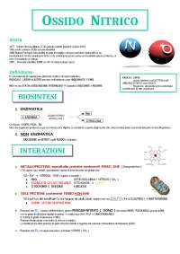 Ossido nitrico, azione - Docsity