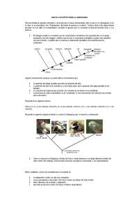 Taller evolución para grado noveno de bachiller | Ejercicios de ...