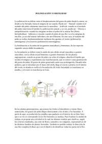 Polinización y fertlilización - Docsity