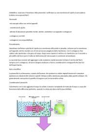 Relazione di laboratorio sulla Plasmolisi - Docsity