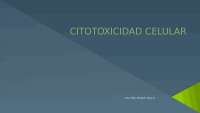 Inmunologia citotoxicidad - Docsity