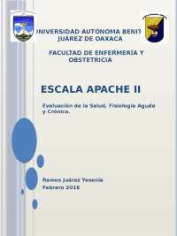 Escala apache definiciones y procedimientos para la deteccion de ...