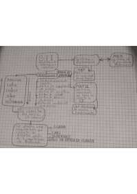 Mapa mental, primero capitulo - Docsity