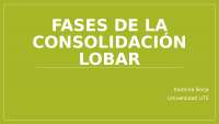 Consolidacion Lobar Fases Docsity