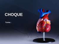 Tipos de choques e sua fisiopatologia - Docsity