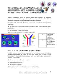 RESUMEN FISIOLOGIA GUYTON CAPITULO 33 - Docsity