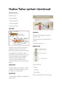 ENTOMOLOGIA- ANATOMIA INTERNA DOS INSETOS | Notas de aula Anatomia ...