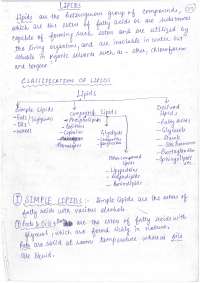 Lipid metabolism for Biochemistry | Lecture notes Medical Biochemistry ...