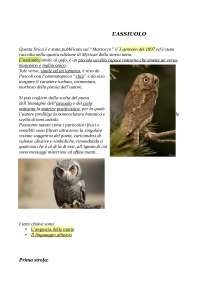 Analisi Assiuolo di Giovanni Pascoli | Appunti di Italiano | Docsity