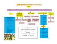 Mapa conceptual de salud comunitaria | Esquemas y mapas conceptuales de Enfermería comunitaria ...