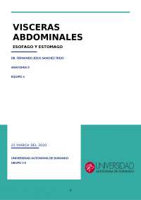 VÍSCERAS ABDOMINALES (ESOFAGO Y ESTOMAGO) - Docsity