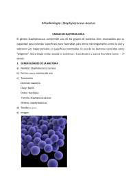 Staphylococcus aureus - Docsity