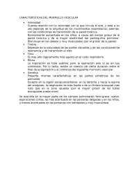 MURMULLO VESICULAR- CARACTERÍSTICAS - Docsity