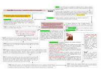 Esquema de Marx de su filosofía - Docsity