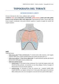 DISPENSA - SCHEMA - RIASSUNTO ANATOMIA UMANA: TOPOGRAFIA DEL TORACE ...