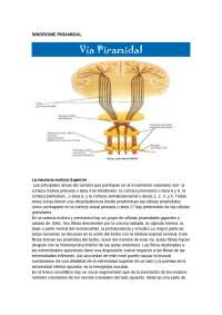 Signos meningeos............................................... - Docsity