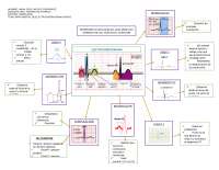 ESQUEMA DE ELECTROCARDIOGRAMA | Esquemas y mapas conceptuales de Fisiopatología - Docsity