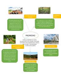 Tipos de propiedad... - Docsity