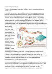 Sequenziamento DNA metodo sanger - Docsity