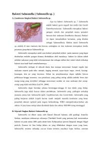 Tugas Biologi : Salmonella - Docsity