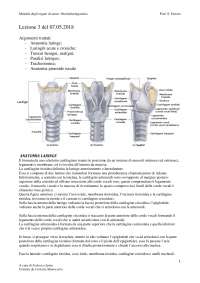 Anatomia laringe paralisi e tumori - Docsity