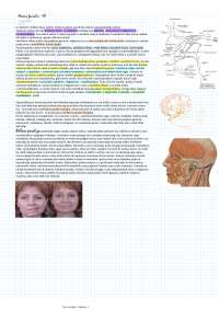 Nervus facialis - neurologija - Docsity