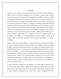 Apoptosis, muerte celular programada - Docsity