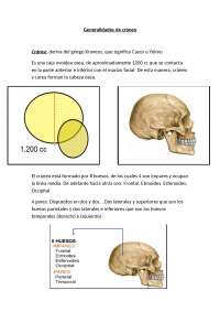 Generalidades De Craneo Docsity