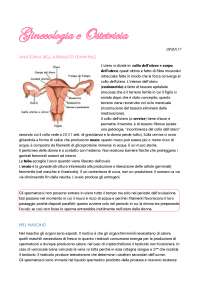 Ginecologia: anatomia, fisiologia, ciclo mestruale, riproduzione e ...