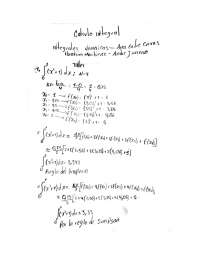 Intrgrales numericas y areas bajo la curva calculo - Docsity