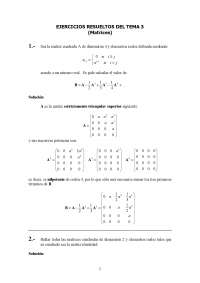 EJERCICIOS MATRICES II - Docsity