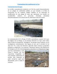Contaminación en Ica - Docsity
