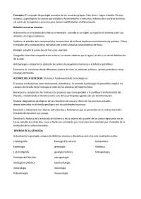 Conceptos basicos de geologia - Docsity