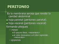 Peritoneo y sus repliegues - Docsity