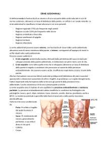 Ernie addominali: diagnosi e trattamento | Dispense di Chirurgia ...