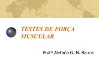 TESTE DE FORÇA MUSCULAR MMII - Docsity