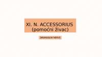 NERVUS ACCESSORIUS - XI kranijalni nerv | Skripte' predlog Anatomija ...