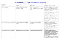 MUSCOLI LARINGEI ANATOMIA II SCHEMATIZZATI - Docsity