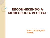 Anatomia e Morfologia Vegetal - Docsity