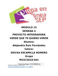 MODULO 15 PROYECTO INTEGRADOR - Docsity