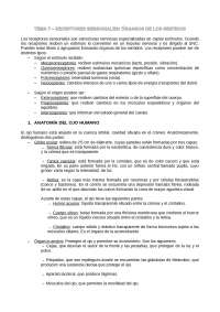 Tema anatomía siete bachillerato - Docsity