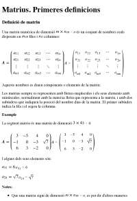 Teoria de les matrius-1 - Docsity