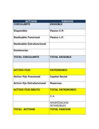 ESTRUCTURA DE UN BALANCE FUNCIONAL - Docsity