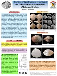 A review of the structural evolution of the Heteroconchia Lucinidae ...