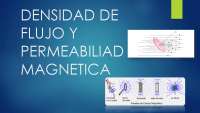 Magnetismo densidad de flujo y permeabilidad - Docsity