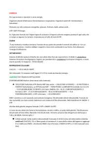 Riassunto appunti programma di quinta, Liceo Scienze umane | Schemi e mappe concettuali di ...