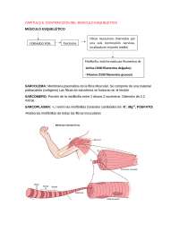 Resumen Fisiologia Medica Guyton Cap 6 | Resúmenes de Fisiología | Docsity