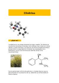 La efedrina C10H15NO - Docsity