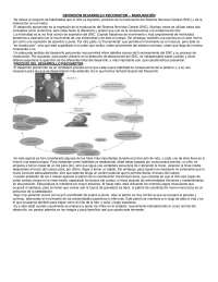 ¿Como se evalua el reflejo cremásterico? - Docsity