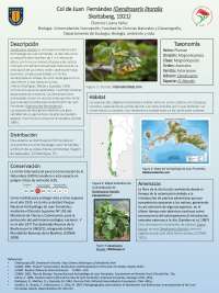 Dendroseris litoralis, especie en extinción. - Docsity